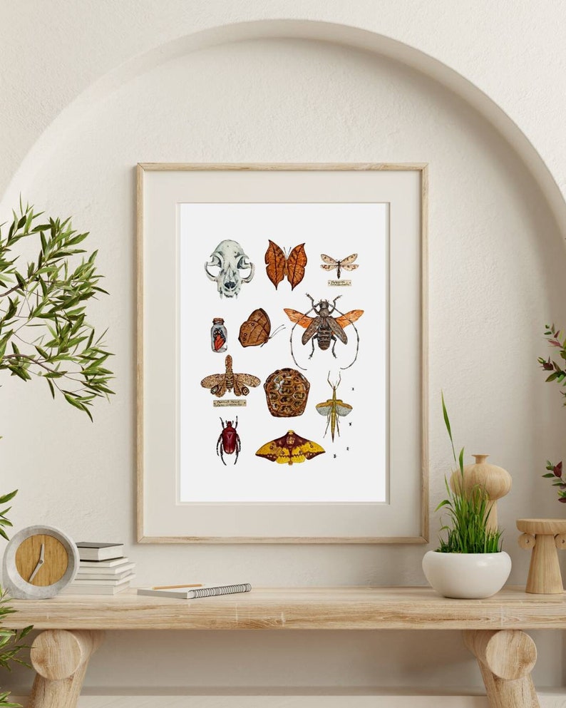 Insects Wall Art Print, Skull, Moth, Insect, Beetle, Turtle Shell ...