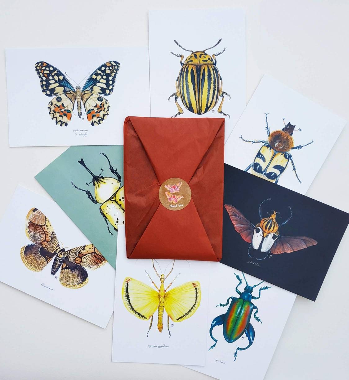 Insect Postcards Pack With 8 Bugs Print Beetle Moth - Etsy