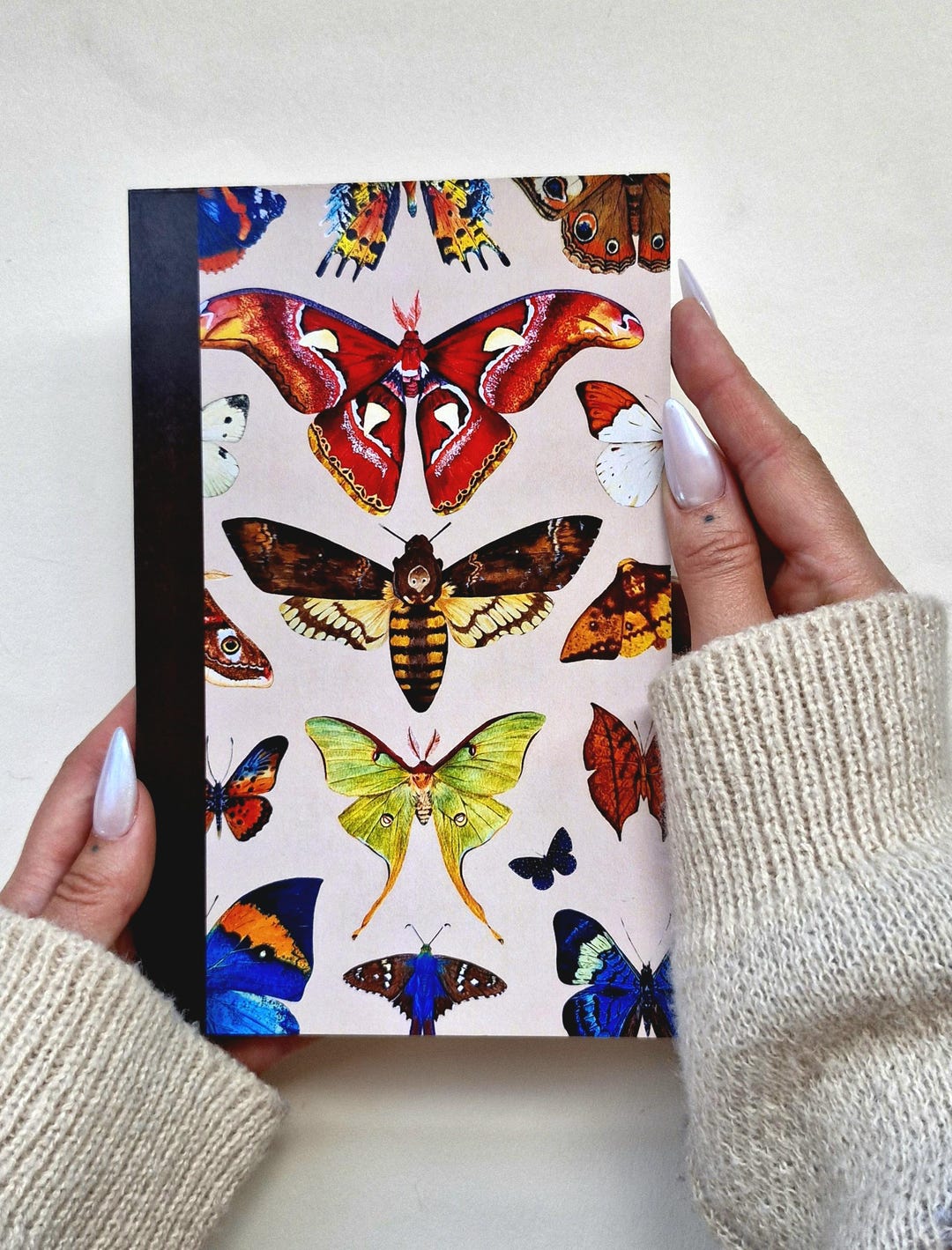 Butterfly & Moths Moka Blank Notebook, Entomology Journal, Nature ...