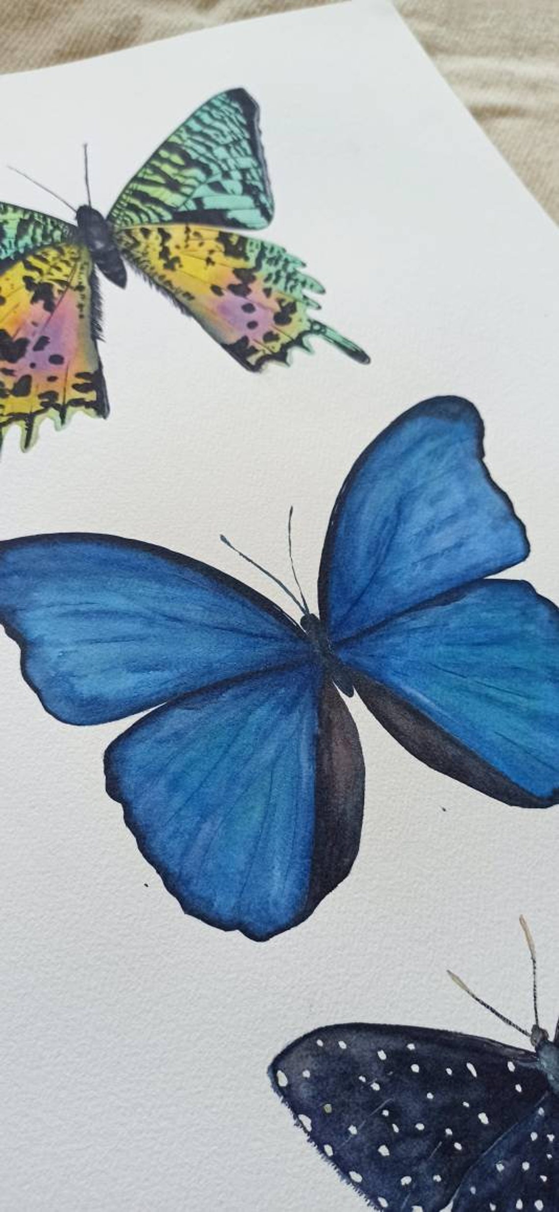 Butterfly Watercolor of Morpho Anaxibia Madagascar Sunset - Etsy