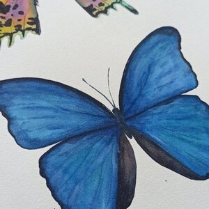 Butterfly Watercolor of Morpho Anaxibia Madagascar Sunset - Etsy