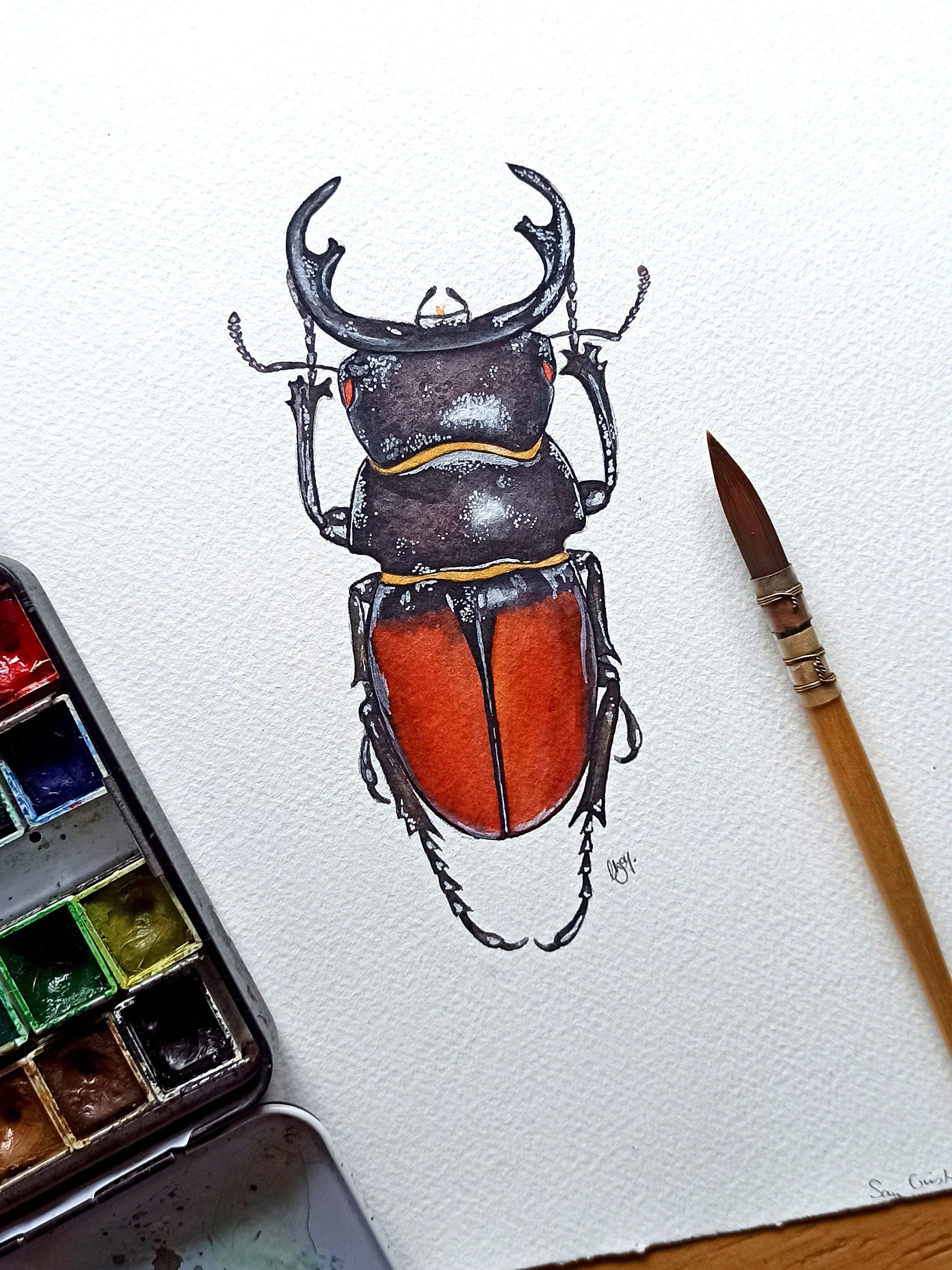 Stag Beetle Watercolor Print, Insect Wall Art, Entomology Gift, Insect ...