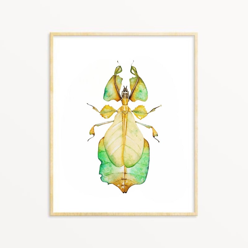 Insect Art - Etsy