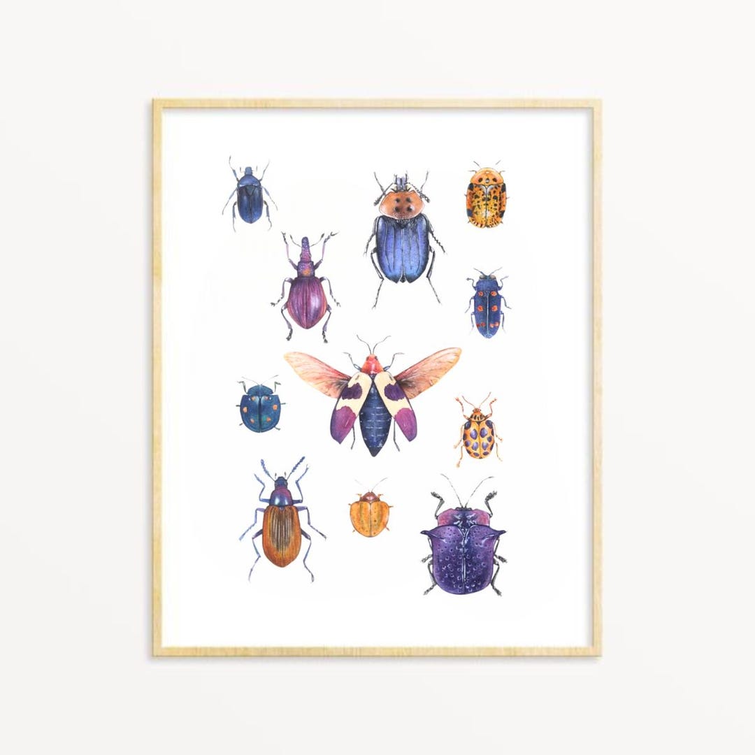 Colorful Bugs Watercolor Print, Bold Kids Room Decor, Entomology ...