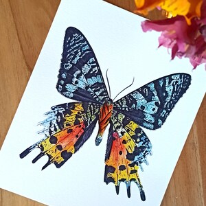 Sunset Moth Art Print of Watercolor Painting, Butterfly Pinned Art ...