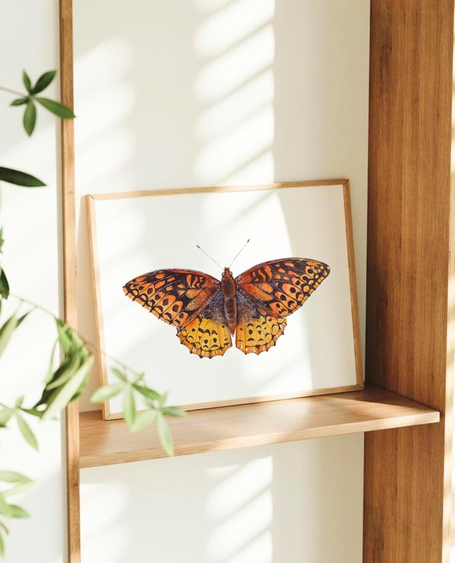 Great Spangled Fritillary Butterfly Illustration - Etsy