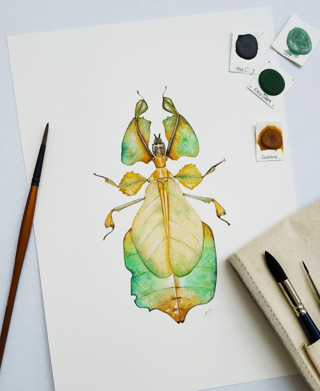 Leaf Insect Watercolor Illustration Insect Taxidermy Pinned - Etsy