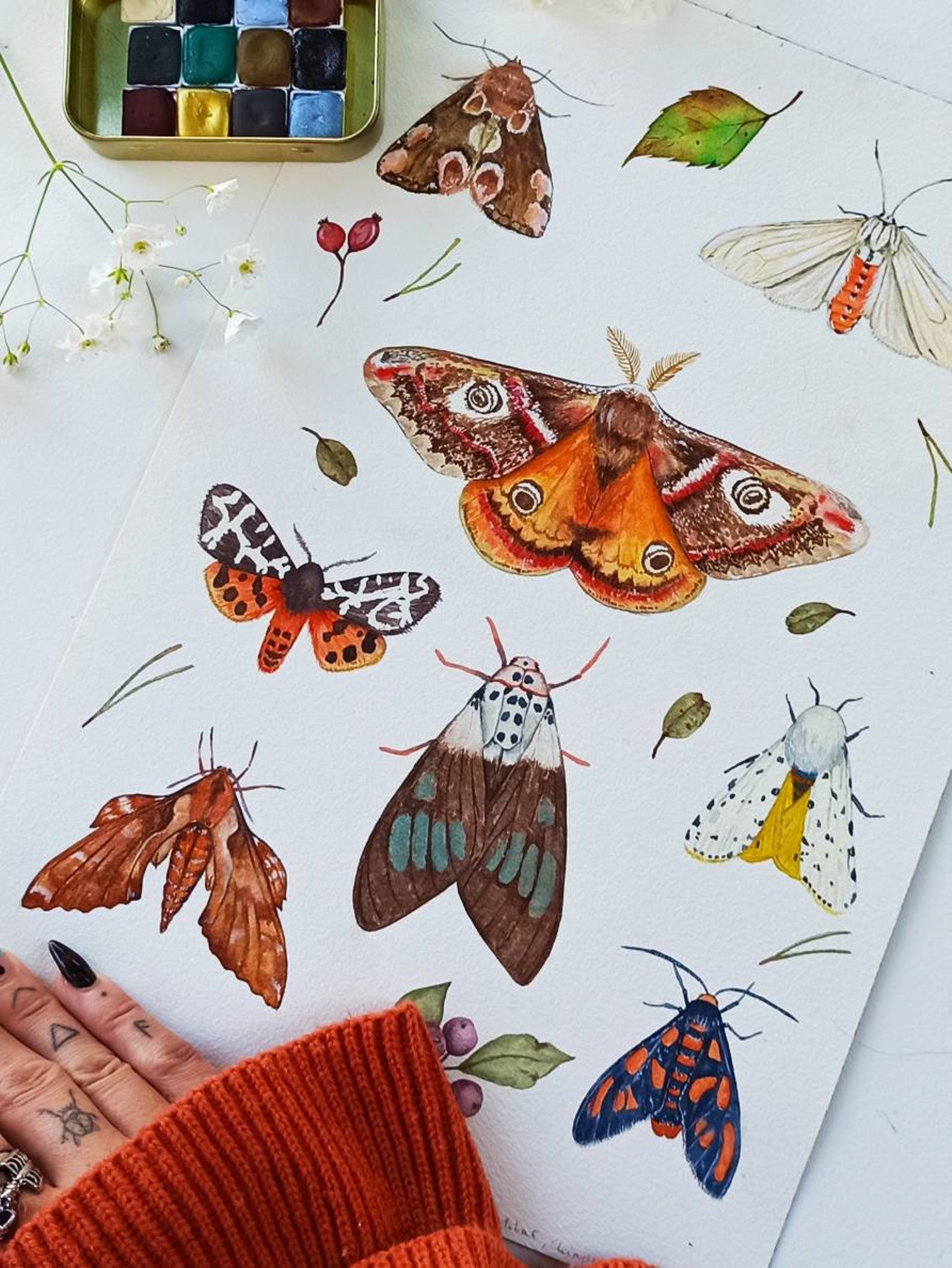 Moth Art Print Botanical Watercolor Moths and Berries - Etsy