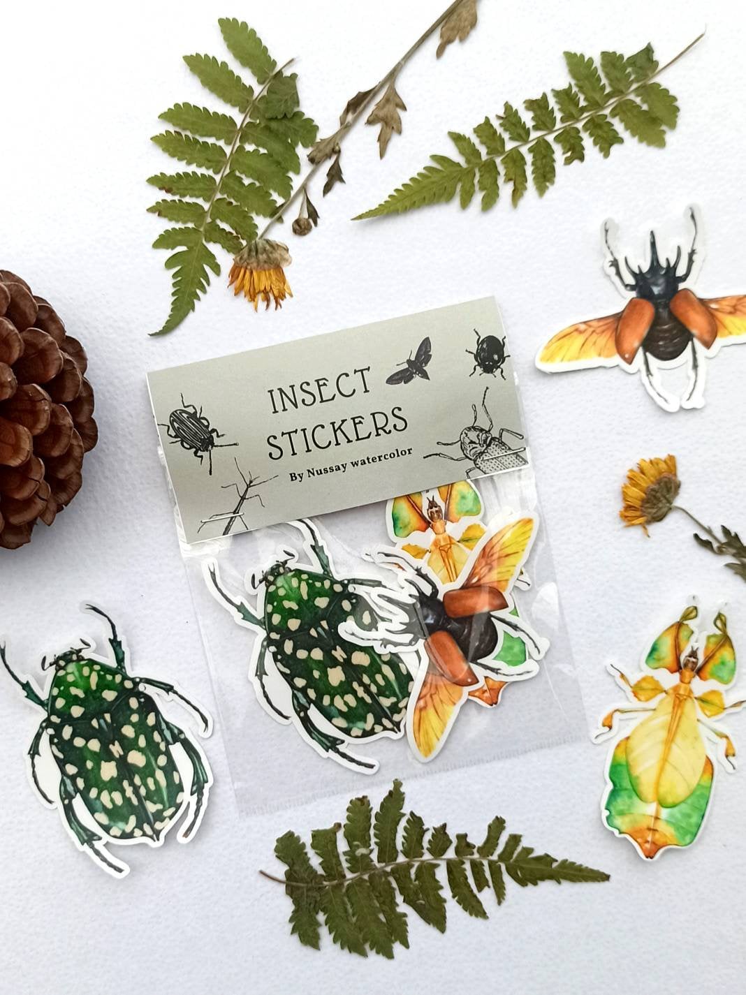 Bugs Sticker Pack, Waterproof, Leaf Insect and Beetles, Hydroflask ...