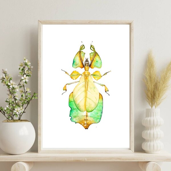 Watercolor Insect - Etsy