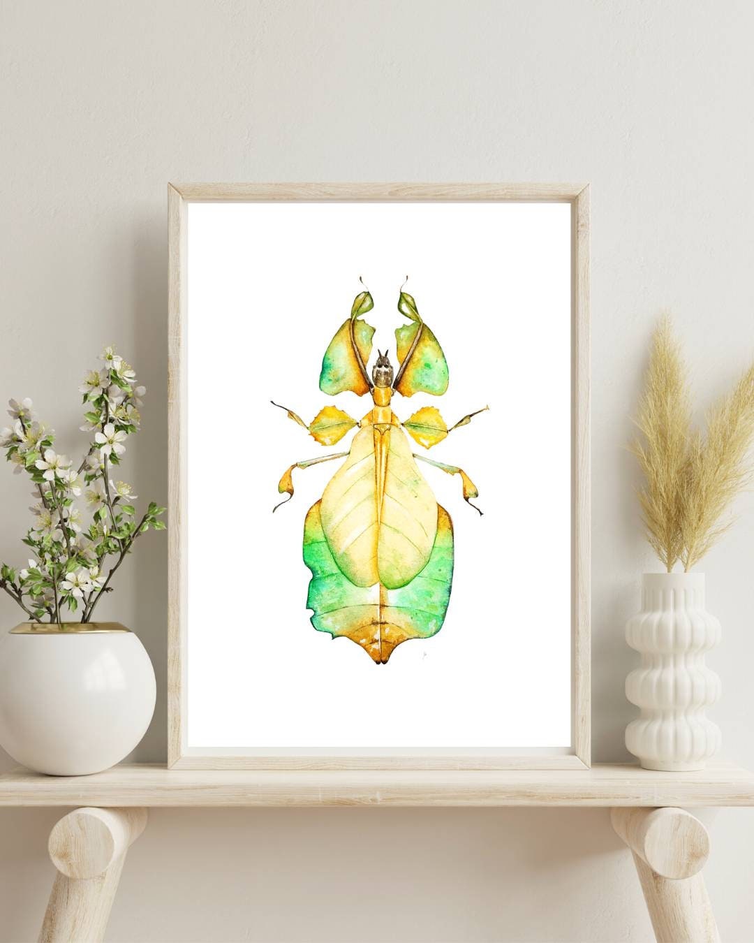 Leaf Insect Watercolor Illustration Insect Taxidermy Pinned - Etsy