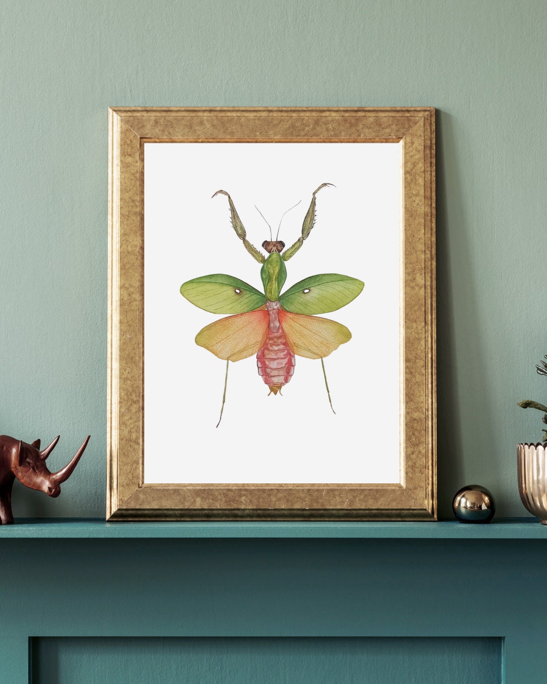 Praying Mantis Watercolor Illustration Print, Mantis Gift, Pinned ...