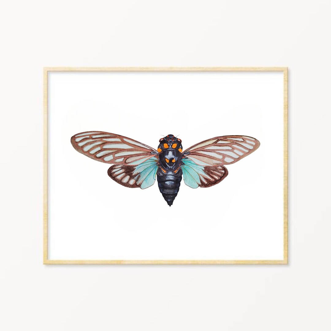 Cicada Art Print, Blue Tosena Splendida Insect Painting, Realistic ...