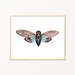 Bug Stickers, Waterproof and Scratch Resistant, Entomology Gift, Insect ...