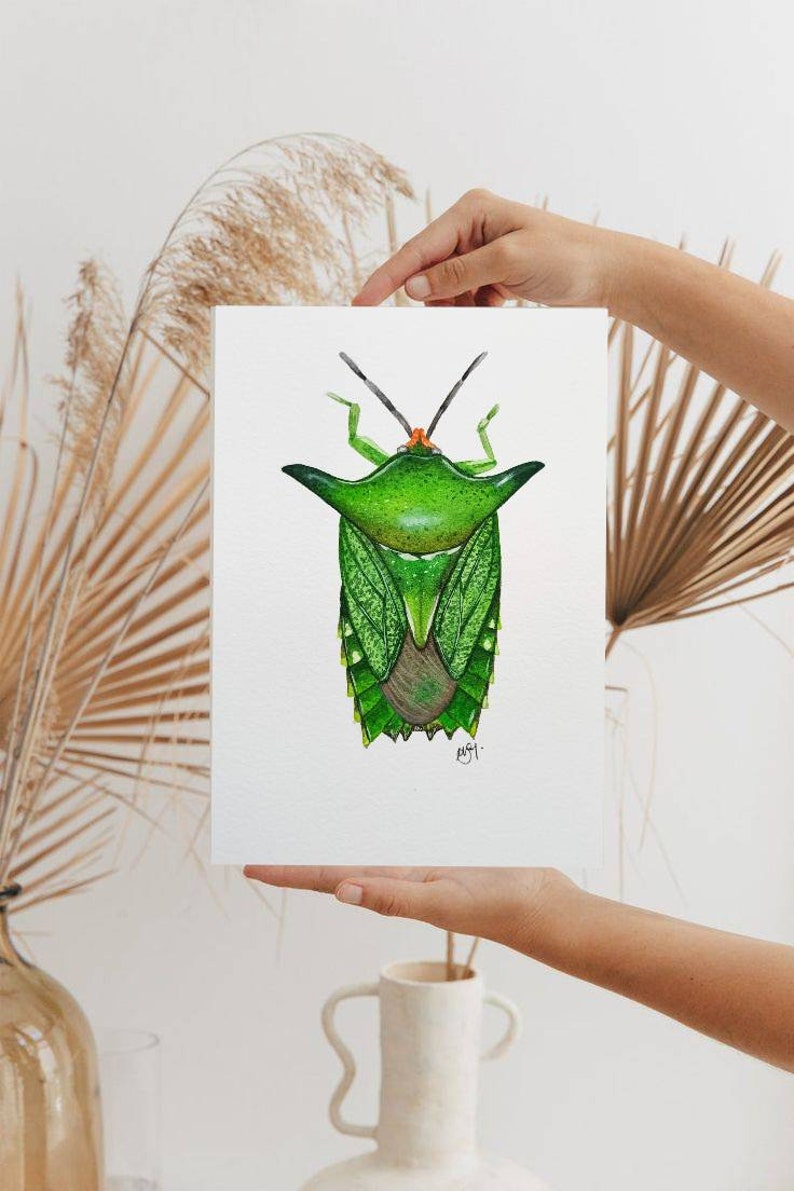 Green Beetle Art Print Bug Nursery Art Bold Insect - Etsy