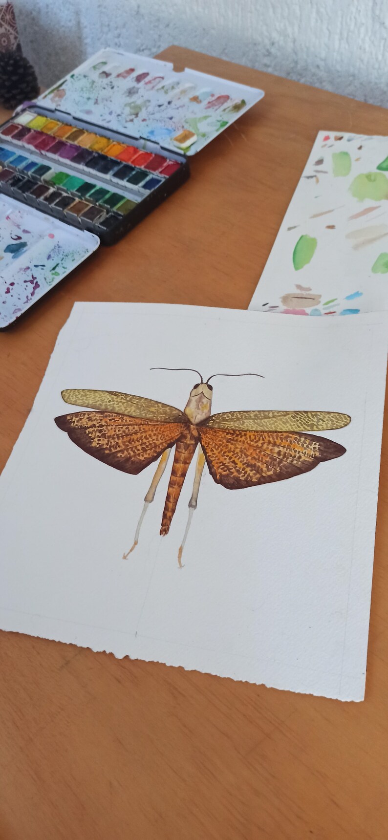 Insect Print of Grasshopper Watercolor Illustration, Insect Taxidermy ...