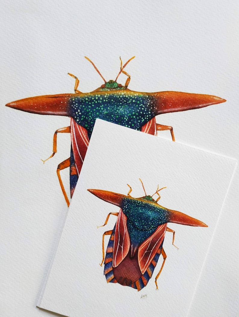 Beetle Art Print Insect Watercolor Painting Entomology Gift - Etsy