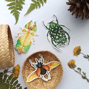 Bugs Sticker Pack, Waterproof, Leaf Insect and Beetles, Hydroflask ...