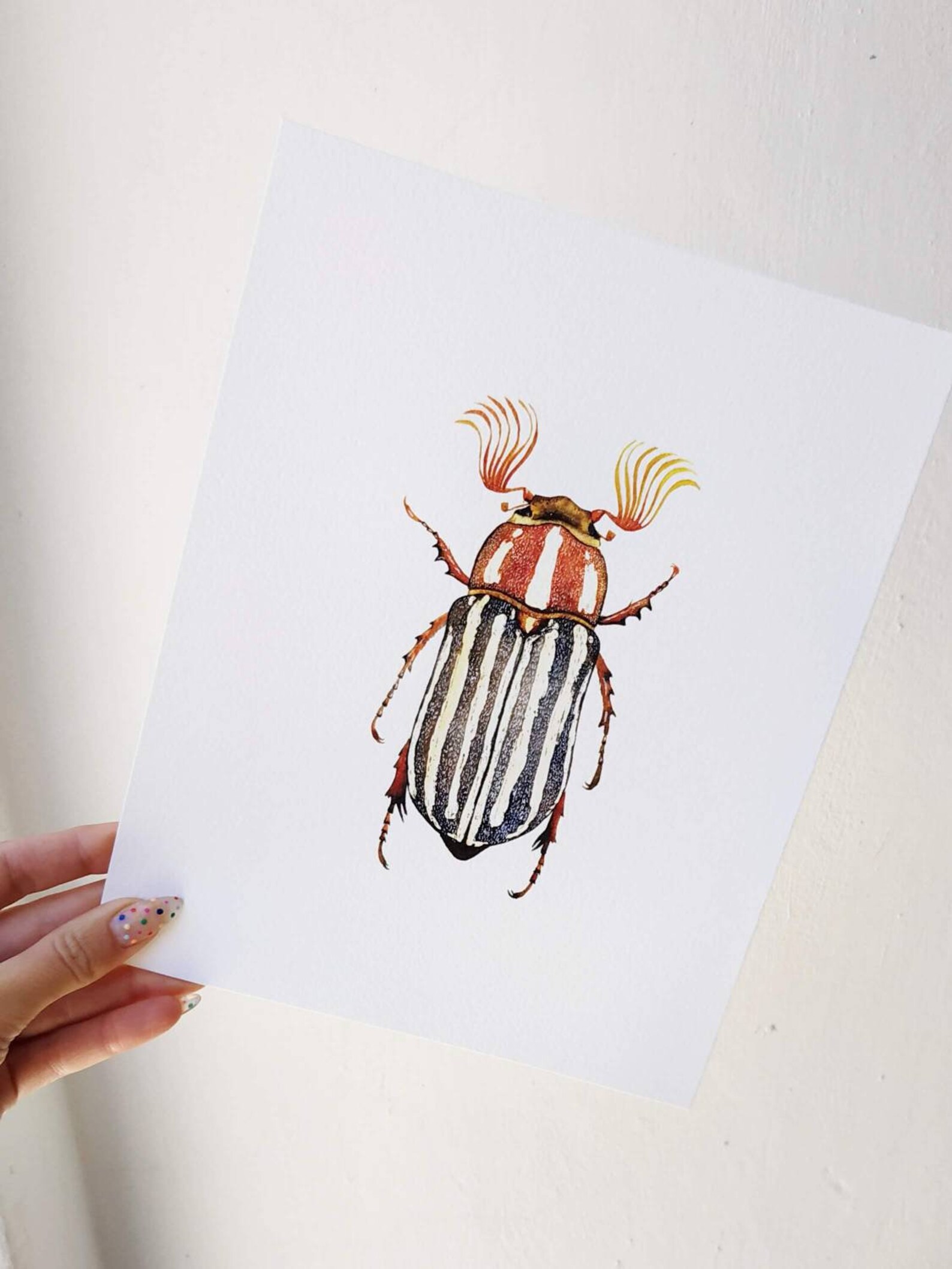 June Beetle Watercolor Print Pinned Insect Art Entomology - Etsy