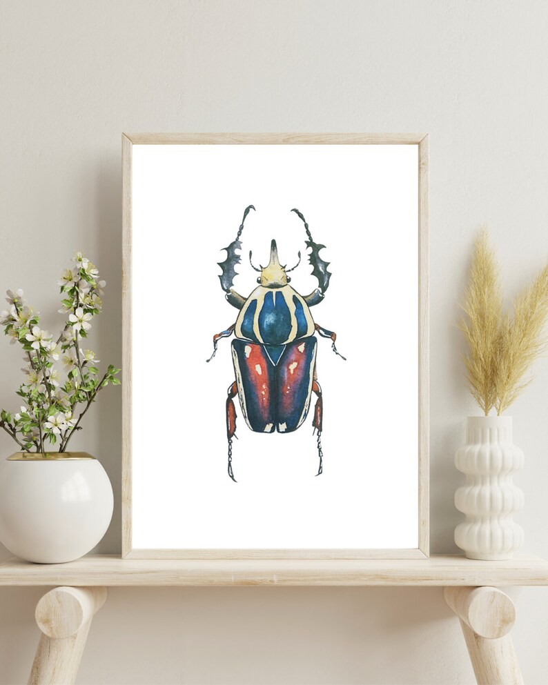 Bug Art Print of Beetle Watercolor, Pinned Insect Art, Entomology Gift ...