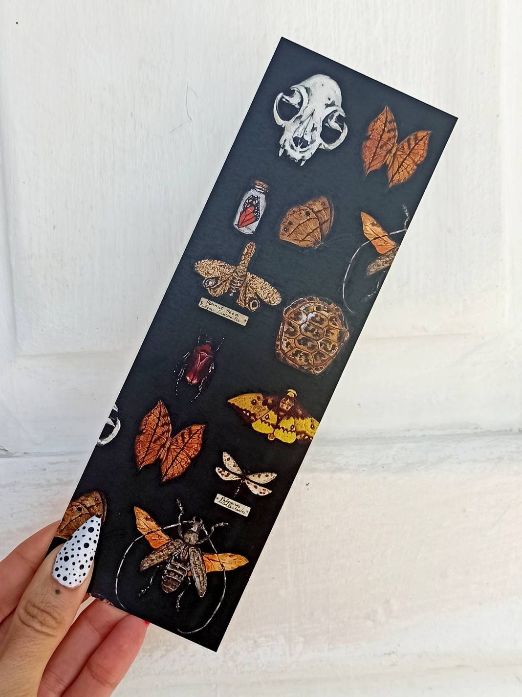 Witchy Bookmark Insect Bookmarks Beetles Oddities - Etsy