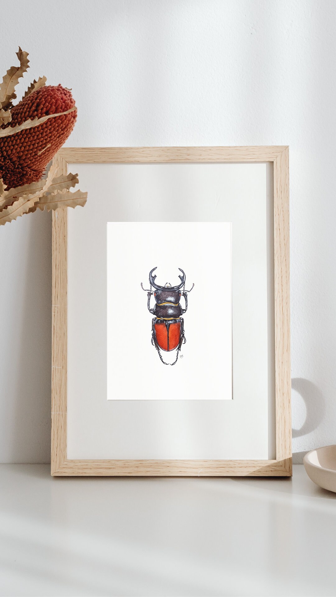 Stag Beetle Watercolor Print, Insect Wall Art, Entomology Gift, Insect ...