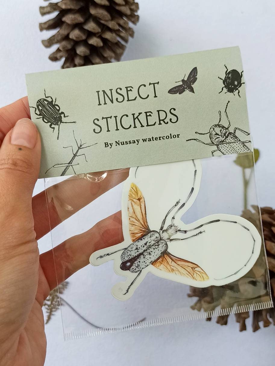 Longhorn Beetle Sticker, Insect Decal, Entomology Gift, Bug Sticker ...