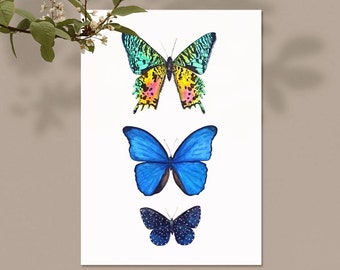 Butterfly Pinned Painting - Etsy
