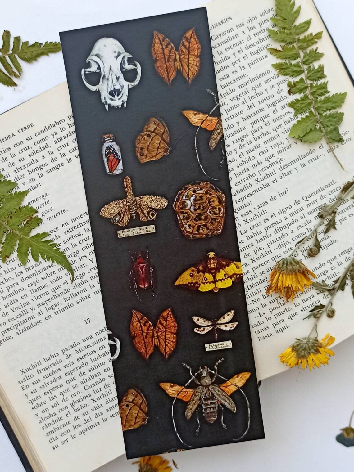 Witchy Bookmark Insect Bookmarks Beetles Oddities - Etsy