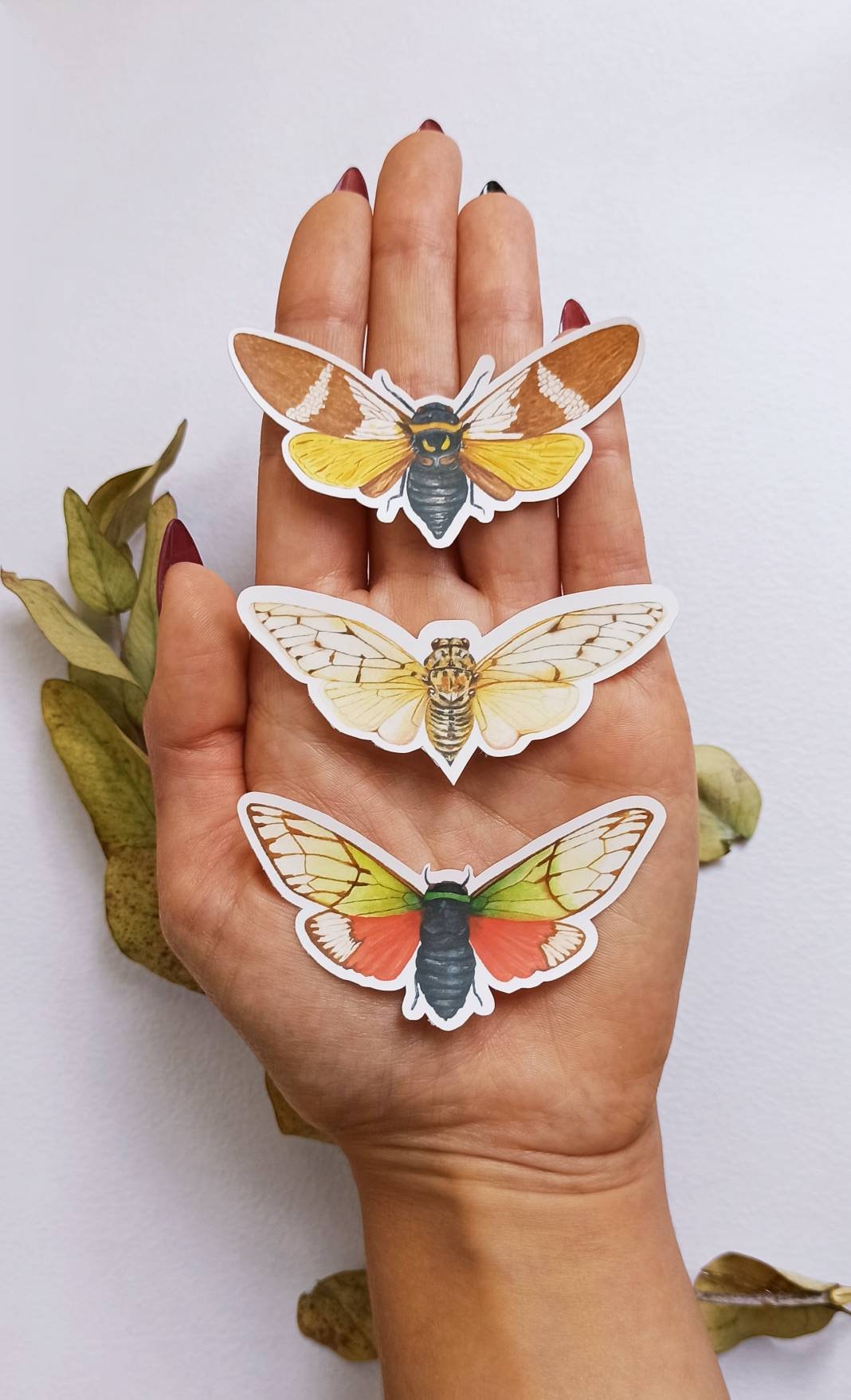 Cicada Stickers Pack Cicada Chasers Stickers Insect - Etsy