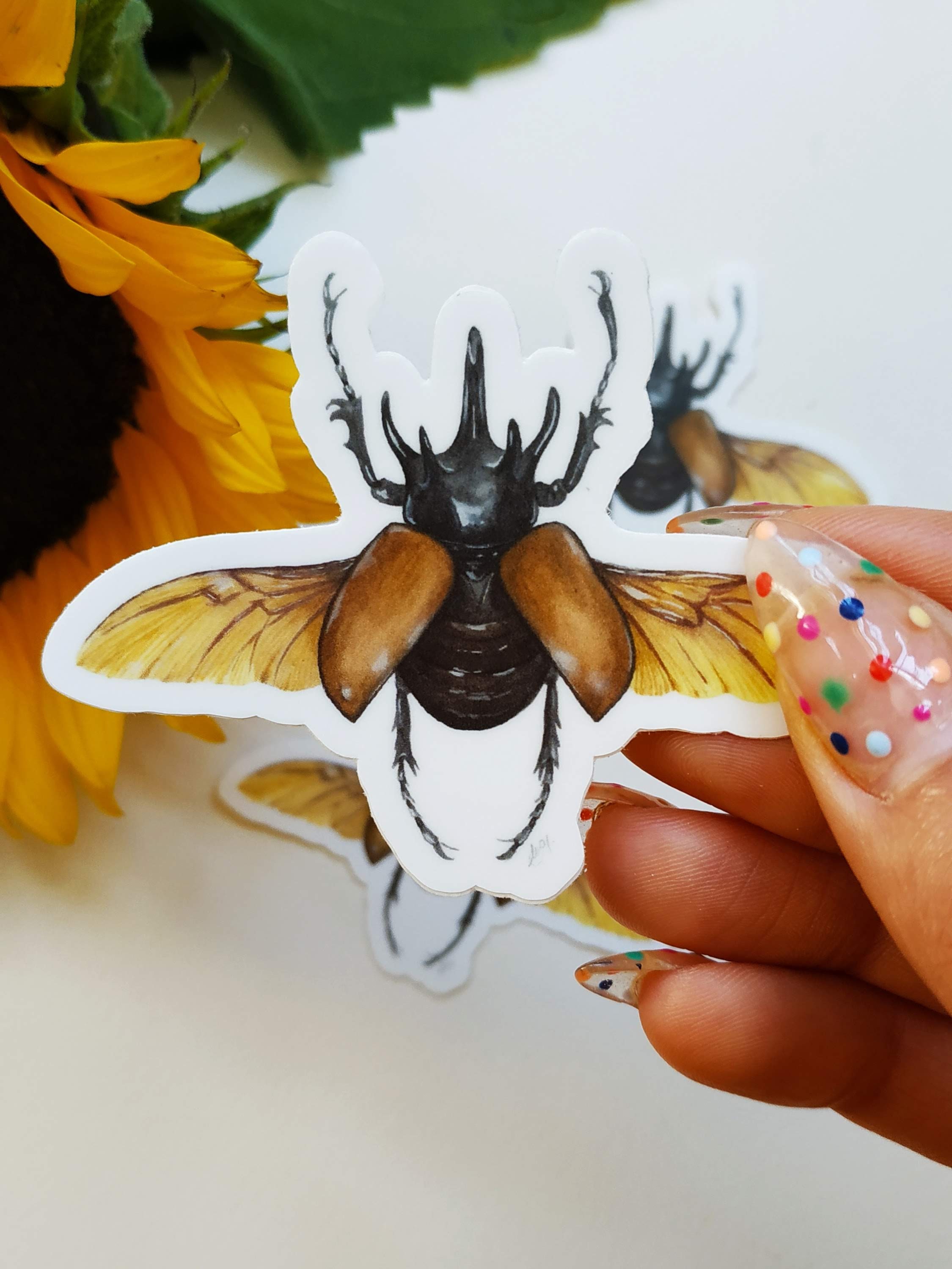 Rhino Beetle Waterproof Sticker - Etsy