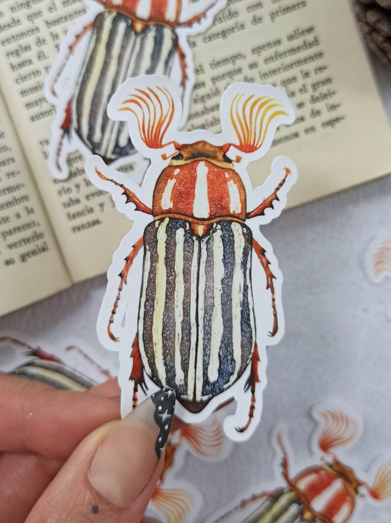 June Beetle Waterproof Sticker Entomology Gift - Etsy