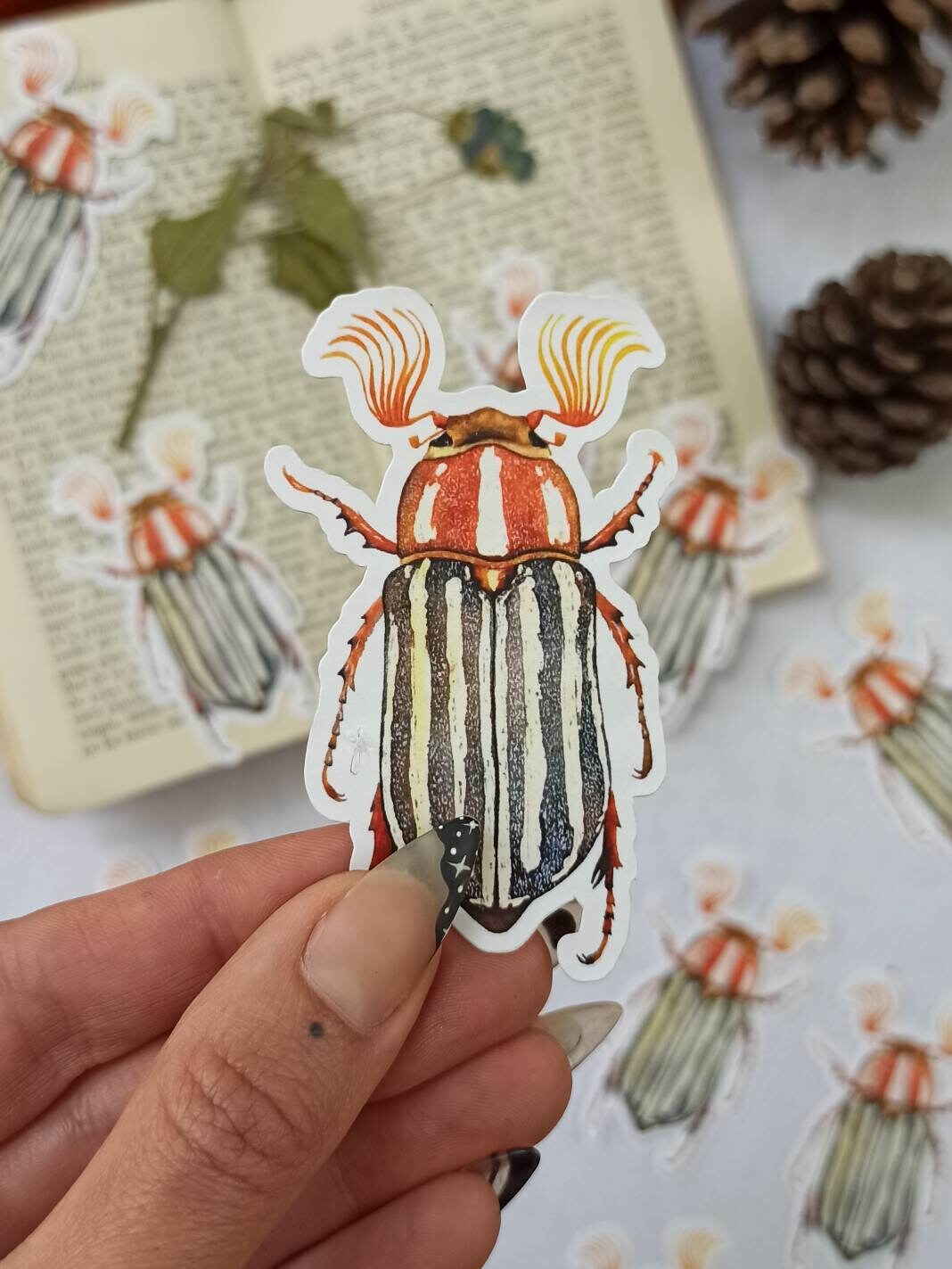 June Beetle Waterproof Sticker Entomology Gift - Etsy