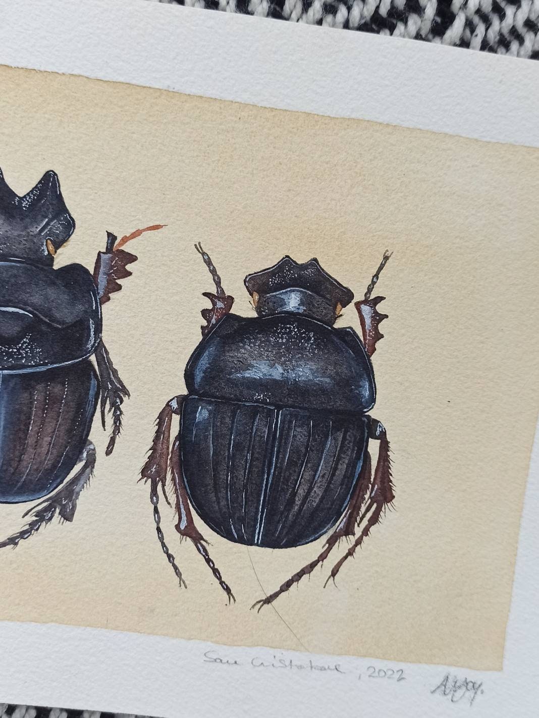 Insect Art Print of Green Beetle Entomology Gift Biology - Etsy