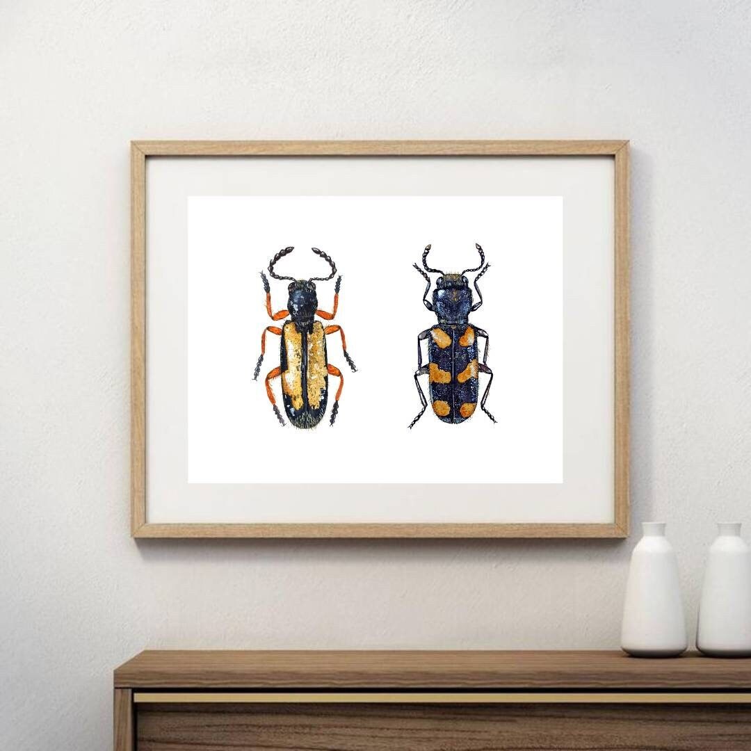 Insects Watercolor Print, Beetles Wall Art, Entomology Gift, Insect ...
