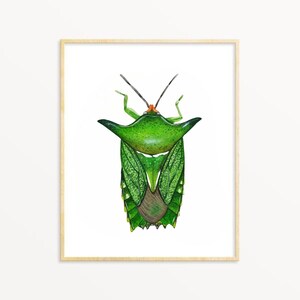 Green Beetle Art Print, Bug Nursery Art, Bold Insect Illustration ...
