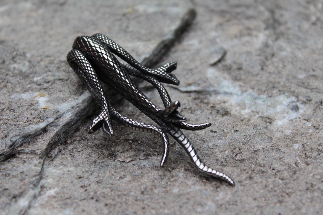 Gothic Serpent Snake Trio Minimalist Pendant by Iphellkear - Etsy