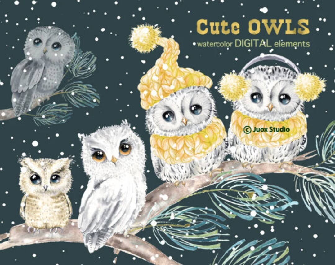 Cute Owls Clipart, Watercolor Owl, Snow, Watercolor Clipart, Holiday ...
