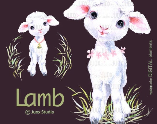 Lamb Watercolor Clipart, Farm Animals, Woolly Lamb, for Printing ...