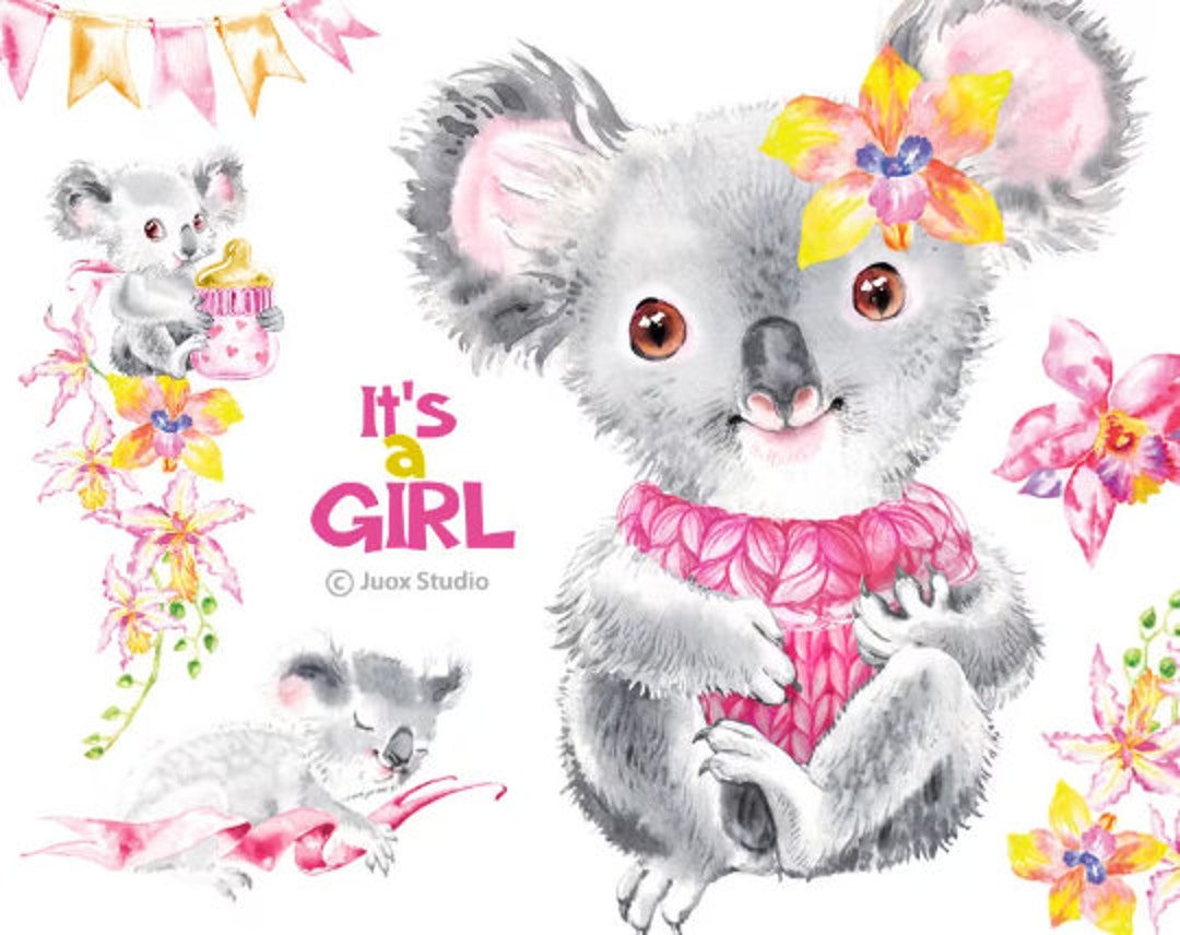 It's a Girl Koala Clipart Baby Girl Watercolor Cute - Etsy