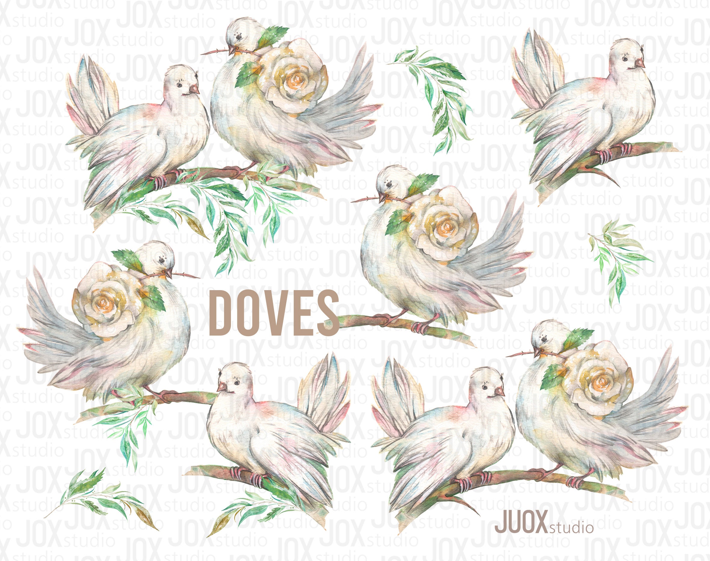 Doves PNG Clipart, Birds, Digital Watercolor Elements, Greetings Diy ...