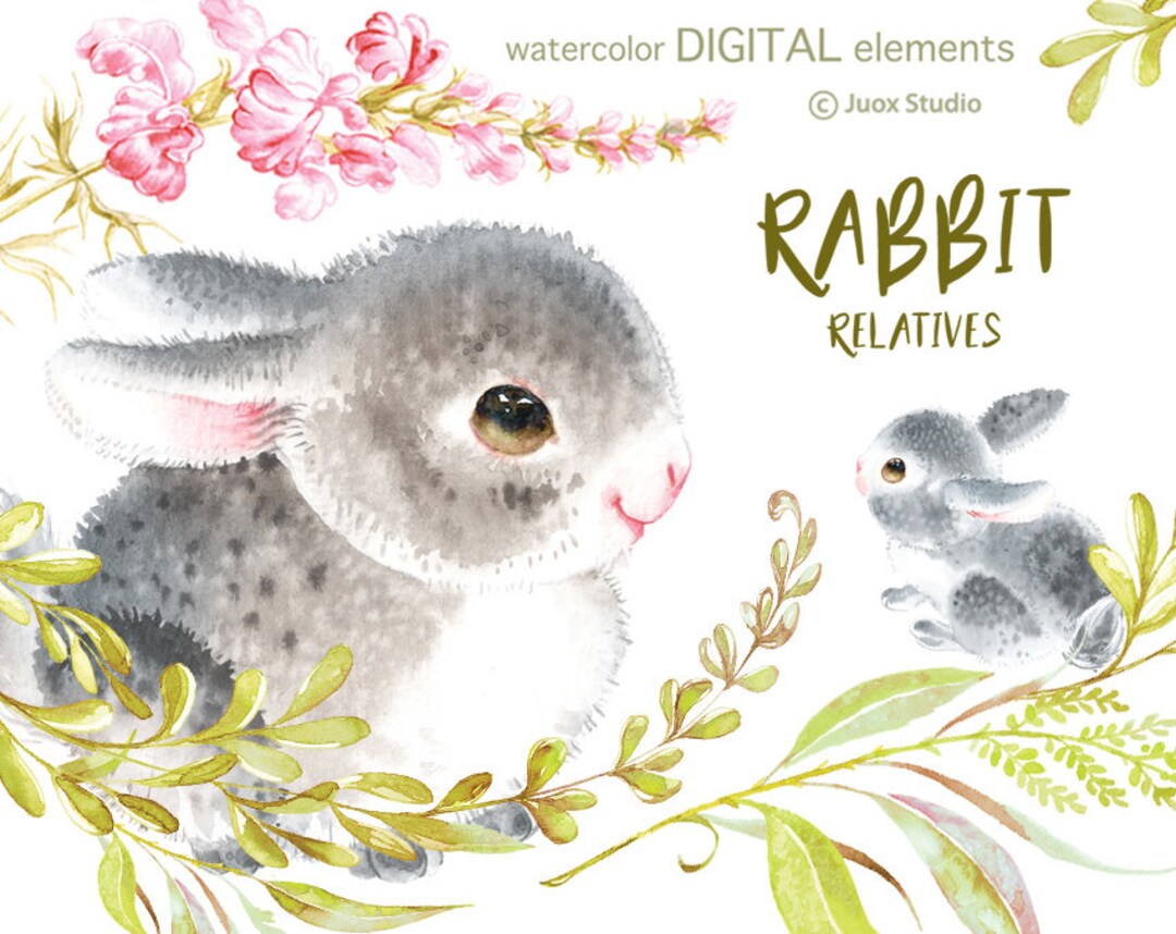 Rabbit Relatives Clipart Baby Girl Clipart Watercolor - Etsy