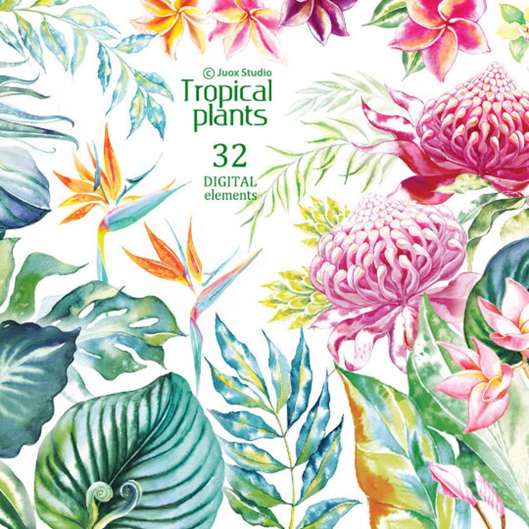 Tropical Watercolor Flowers Clipart Digital Bouquet Elements Leaves ...