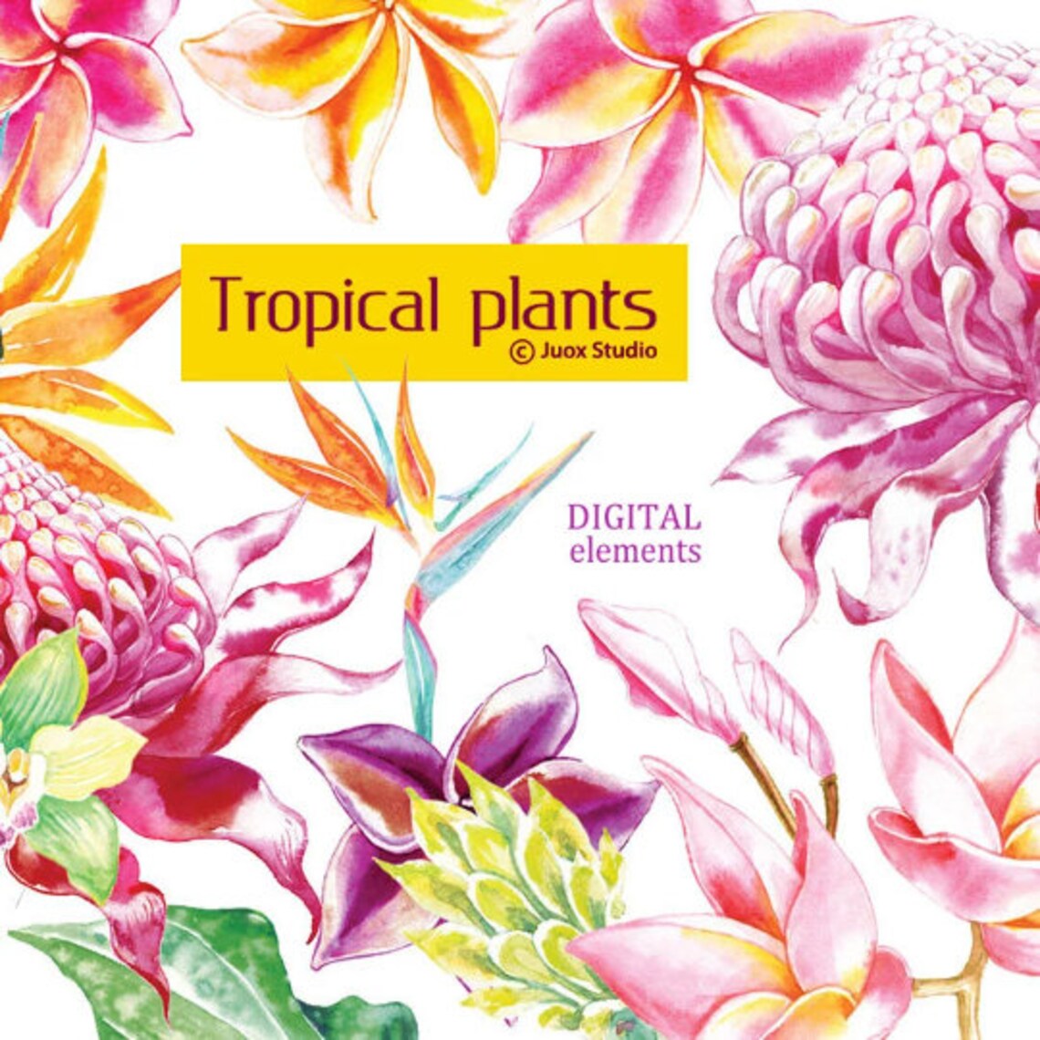 Tropical Watercolor Flowers Clipart Digital Bouquet Elements Leaves ...