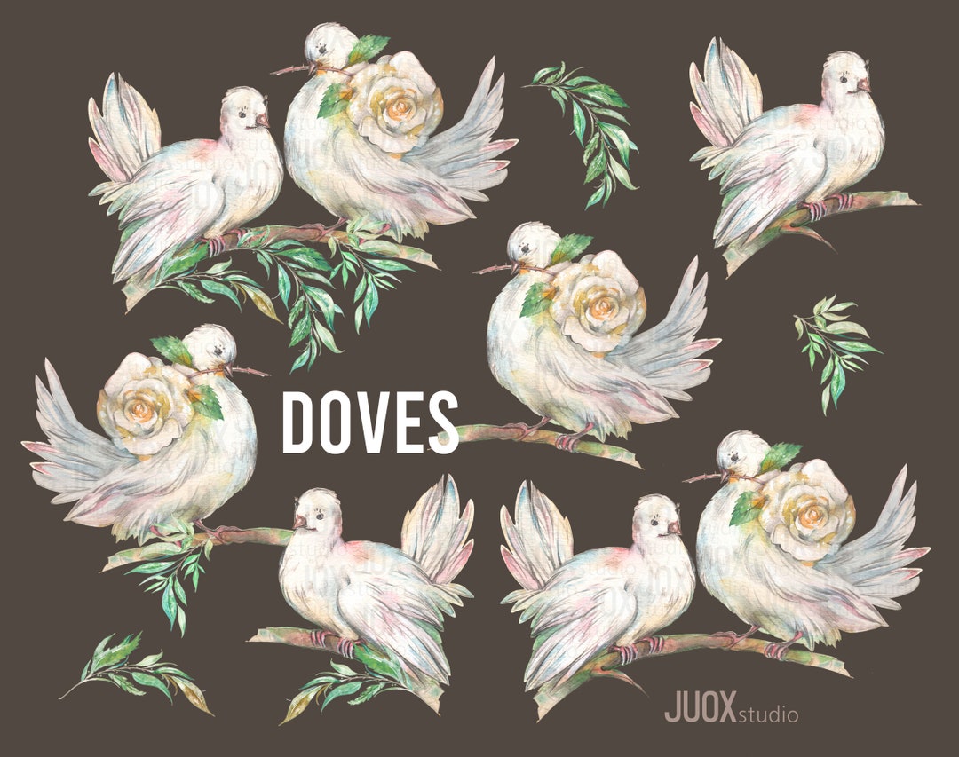 Doves PNG Clipart, Birds, Digital Watercolor Elements, Greetings Diy ...