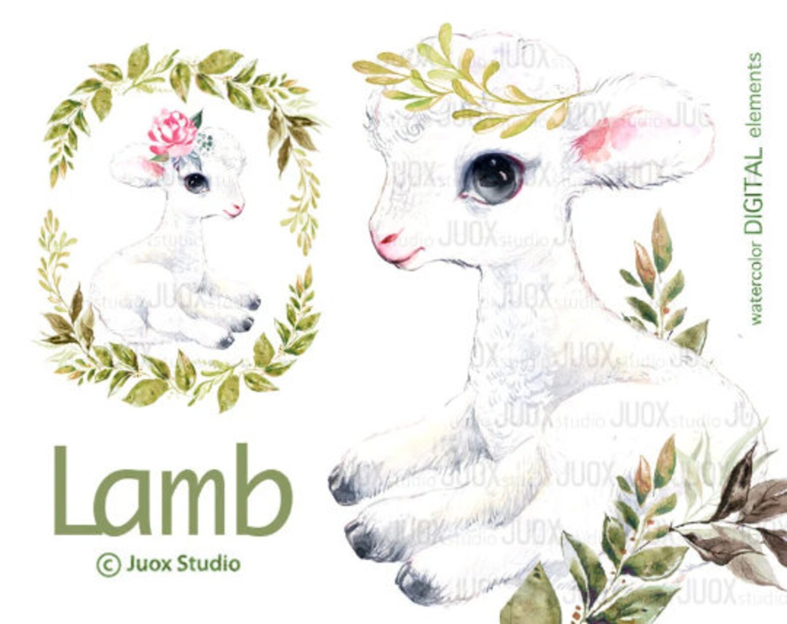 Lamb Watercolor Clipart, Farm Animals, Woolly Lamb, for Printing ...