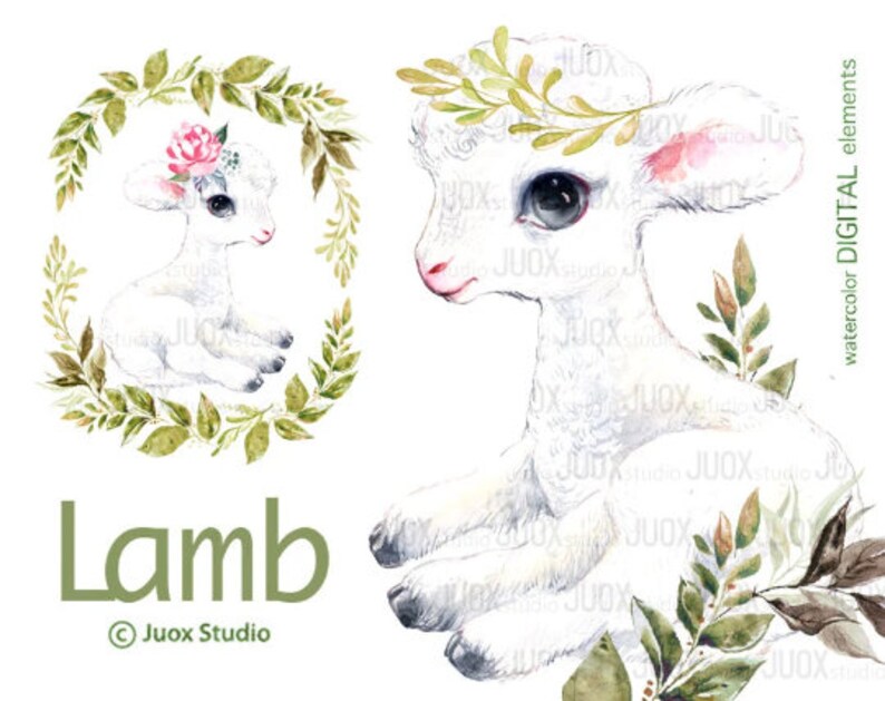 Lamb Watercolor Clipart, Farm Animals, Woolly Lamb, for Printing ...