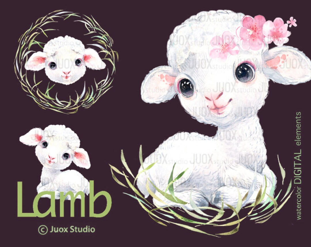 Lamb Watercolor Clipart, Farm Animals, Woolly Lamb, for Printing ...