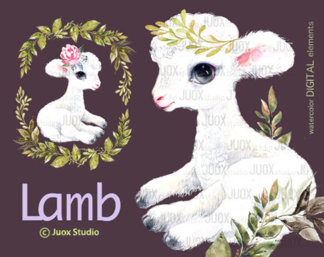 Lamb Watercolor Clipart, Farm Animals, Woolly Lamb, for Printing ...