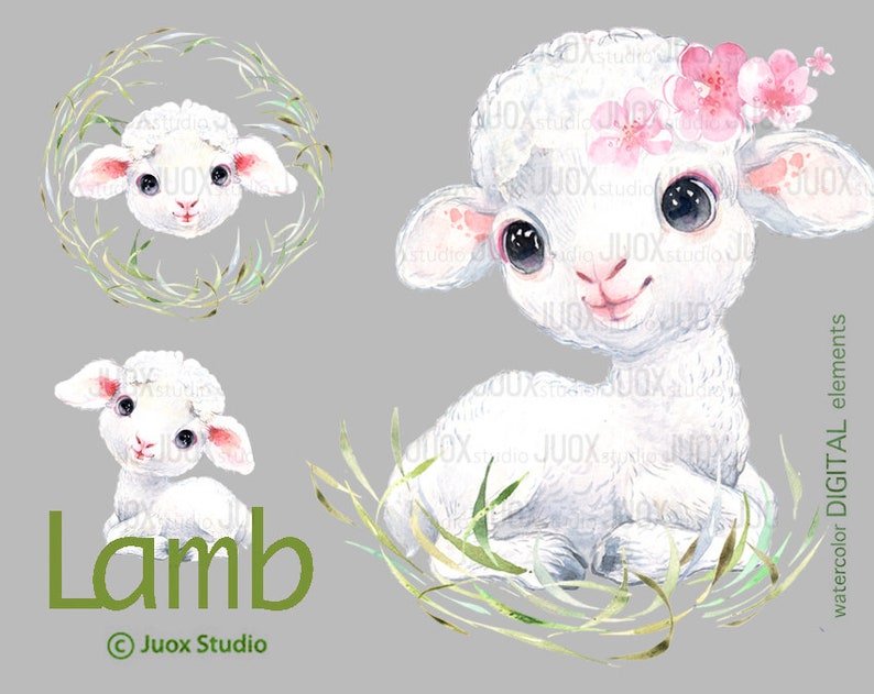 Lamb Watercolor Clipart, Farm Animals, Woolly Lamb, for Printing ...